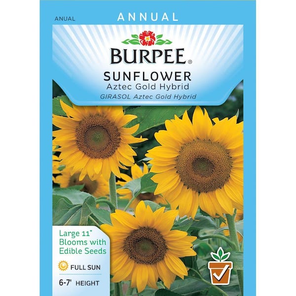 Burpee Aztec Gold Sunflower Hybrid Seed 64741 - The Home Depot