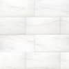 MSI Alexandra White 12 in. x 24 in. Matte Porcelain Marble Look Floor ...