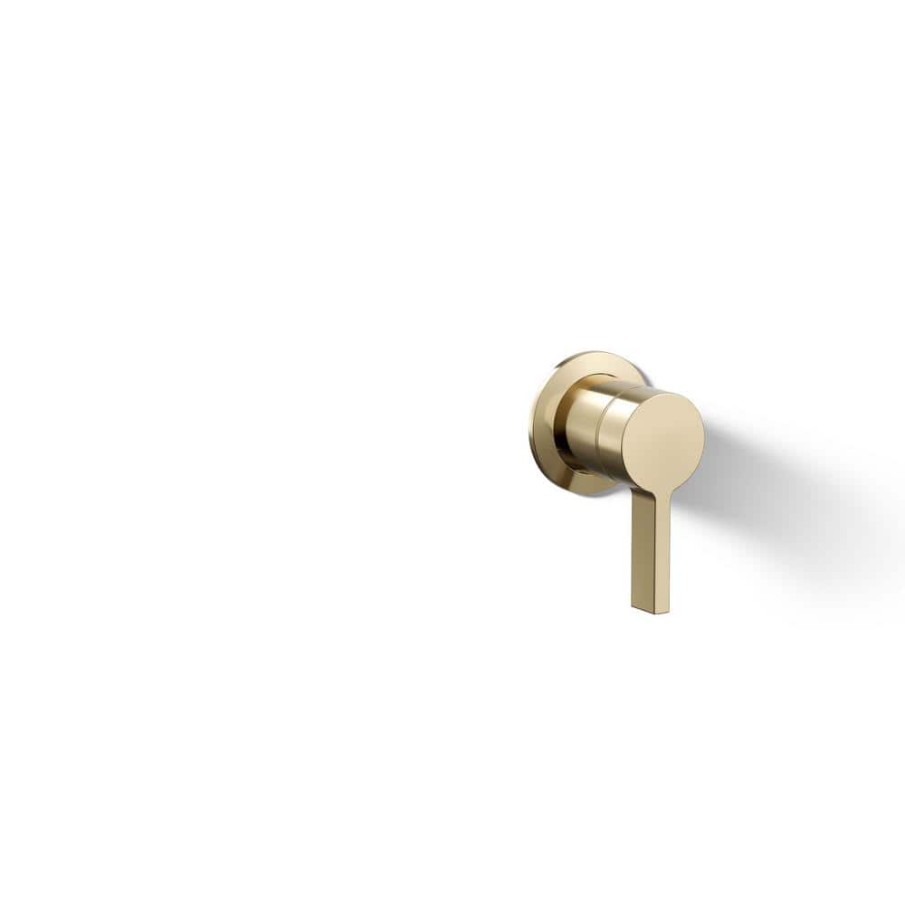 KOHLER Components Wall-Mount Bathroom Sink Faucet Handle in Vibrant ...