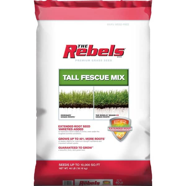 Reviews for The Rebels 40 lbs. Tall Fescue Grass Seed Mix | Pg 2 - The ...