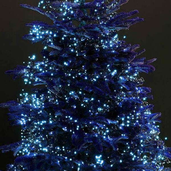 Random Twinkling Christmas Lights