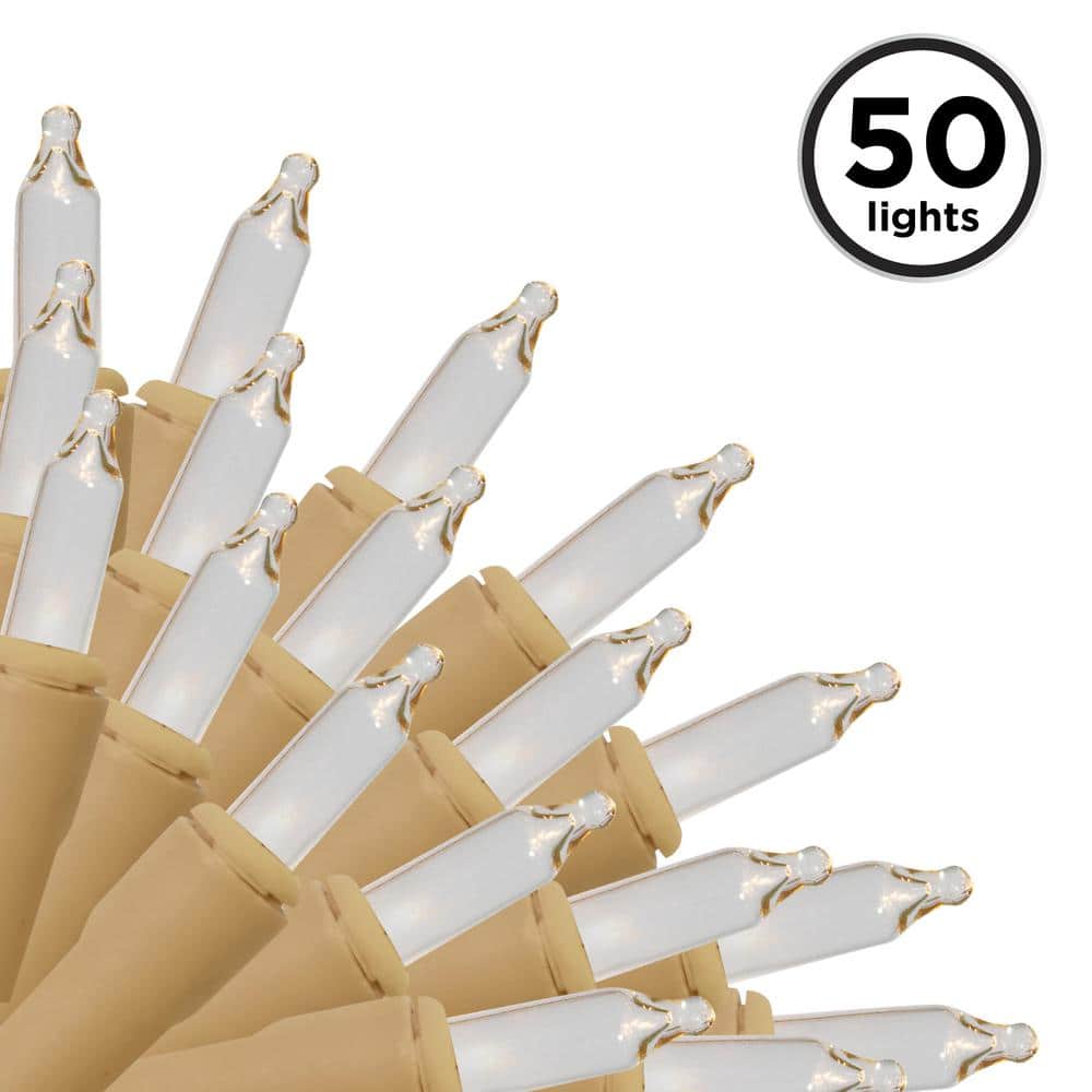 Brite Star 50-Light Designer Series Clear Mini Lights, Champaign Wire ...