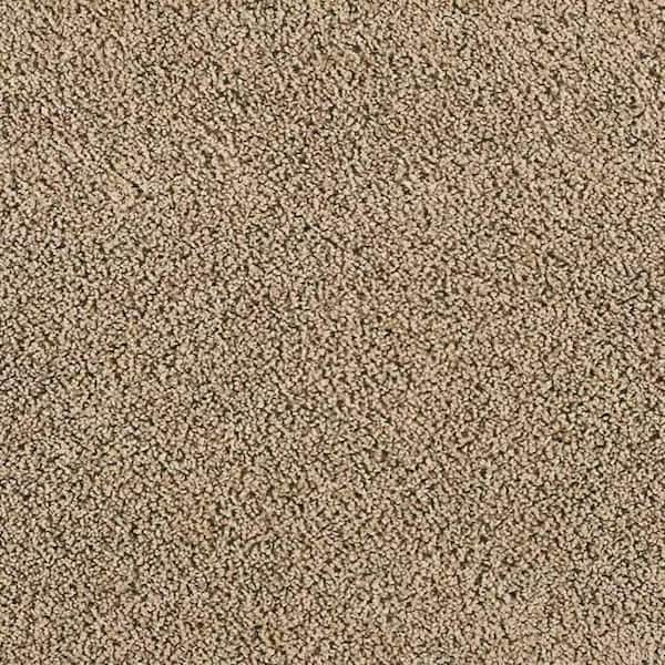 TrafficMaster 8 in. x 8 in. Texture Carpet Sample-Whisk & Whimsy II ...