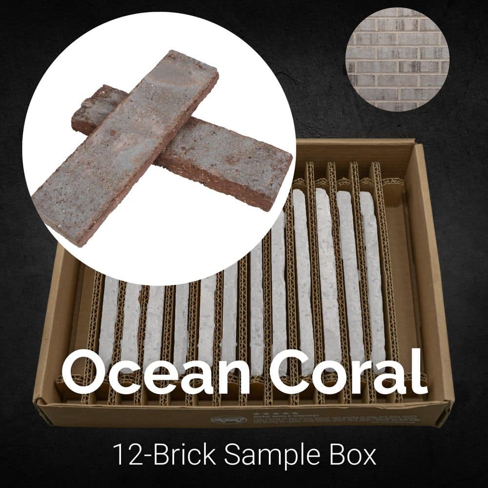 Old Mill Brick Sample Box Ocean Coral Thin Brick 7.625 in. x 2.25 in. x ...