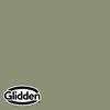 Glidden Essentials 1 gal. PPG1030-5 Mesmerize Satin Exterior Paint ...