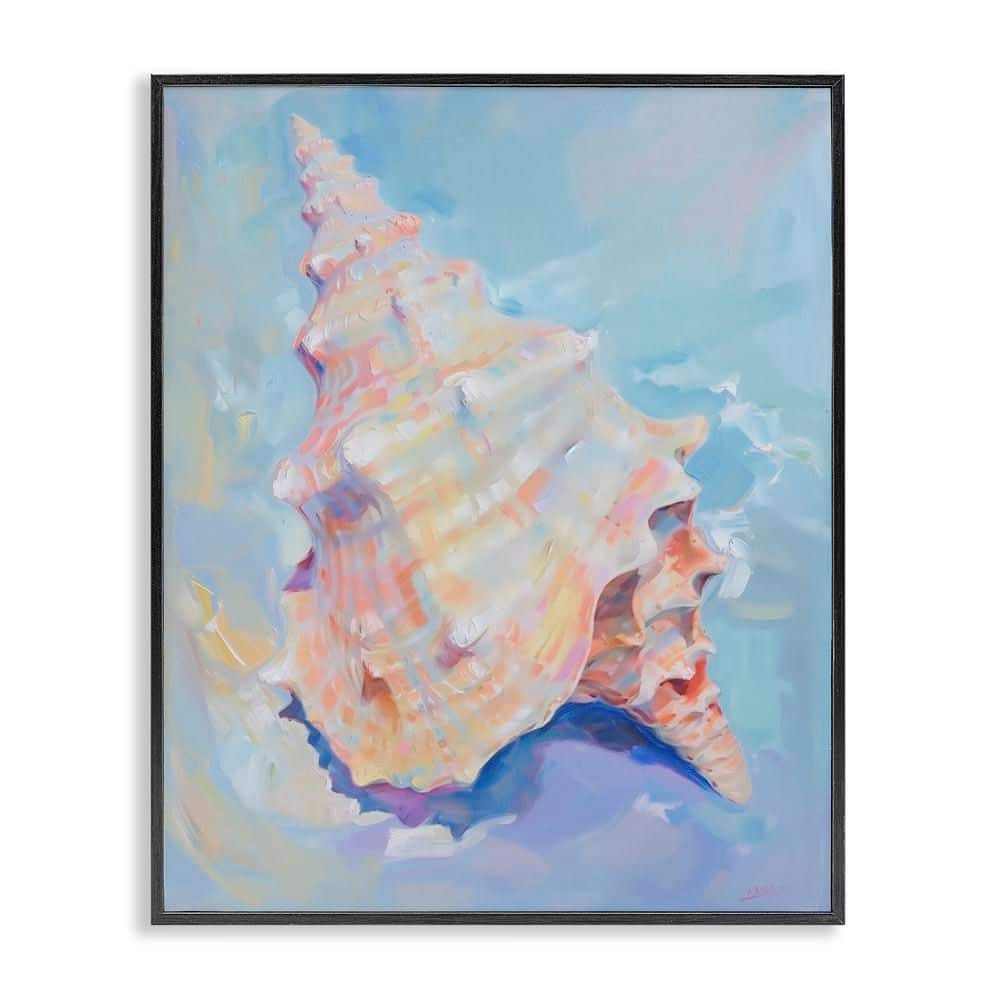 Stupell Industries Coastal Conch Shell by Arlington Prints Black Framed ...