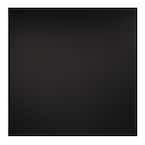 Armstrong CEILINGS Fine Fissured Black 2 ft. x 2 ft. Lay-in Ceiling ...