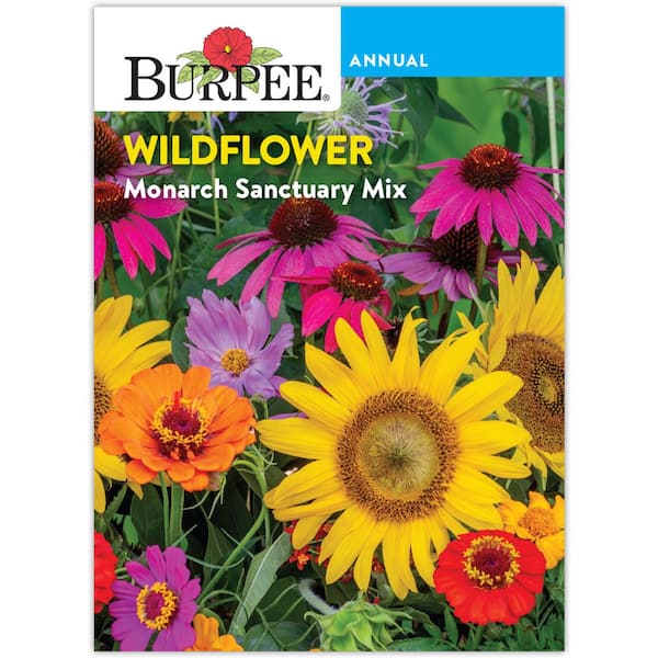 Burpee Perennial Wildflower Monarch Mix 44515 - The Home Depot