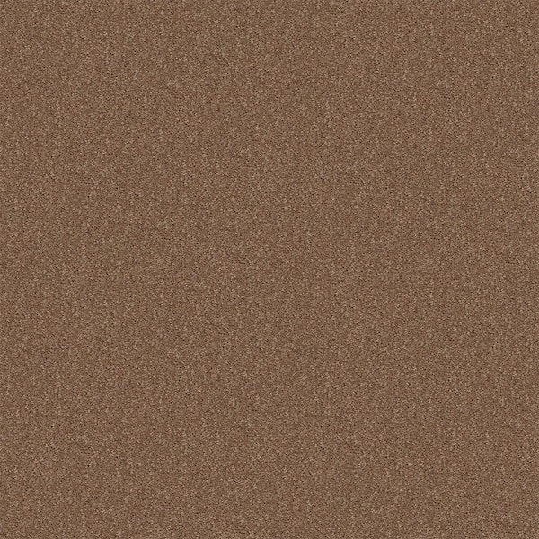 Reviews for TrafficMaster Alpine - Kindness - Brown 15 ft. 17.3 oz ...