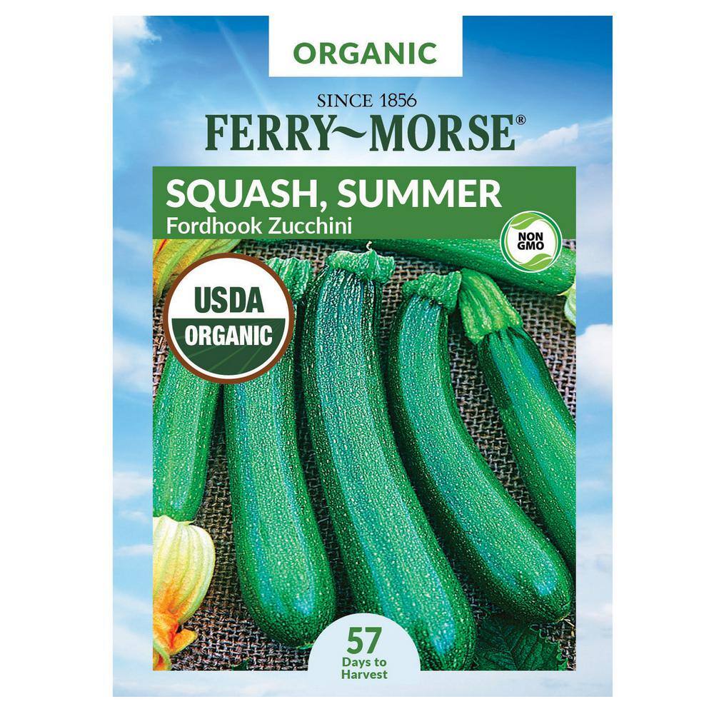 Ferry-Morse Organic Squash Fordhook Zucchini Fruit Seed 0929 - The Home ...