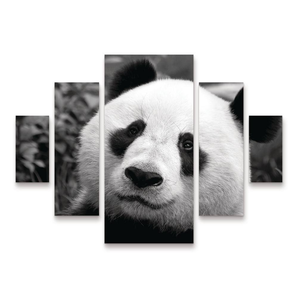 Trademark Fine Art SD Smart Giant Panda 5-Piece Panel Set Unframed ...