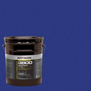 Safety Blue - The Home Depot