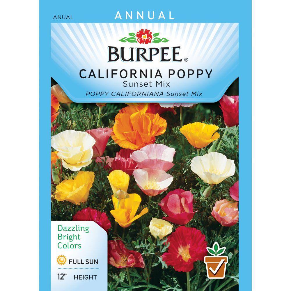 Burpee California Poppy Sunset Mix Seed 44230 - The Home Depot