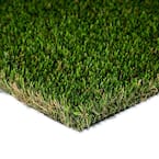 Lifeproof with Petproof Technology Premium Pet Turf 12 ft. Wide x Cut ...