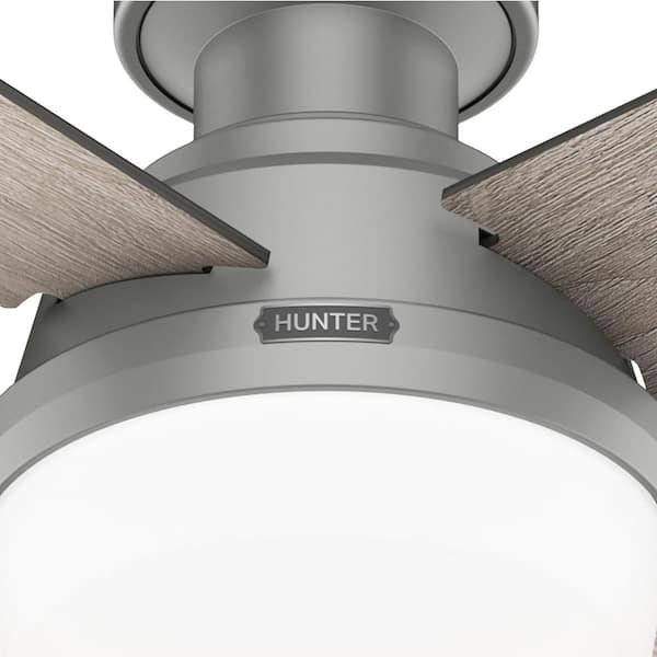 Hunter Dempsey Ceiling Fan Canada | Shelly Lighting