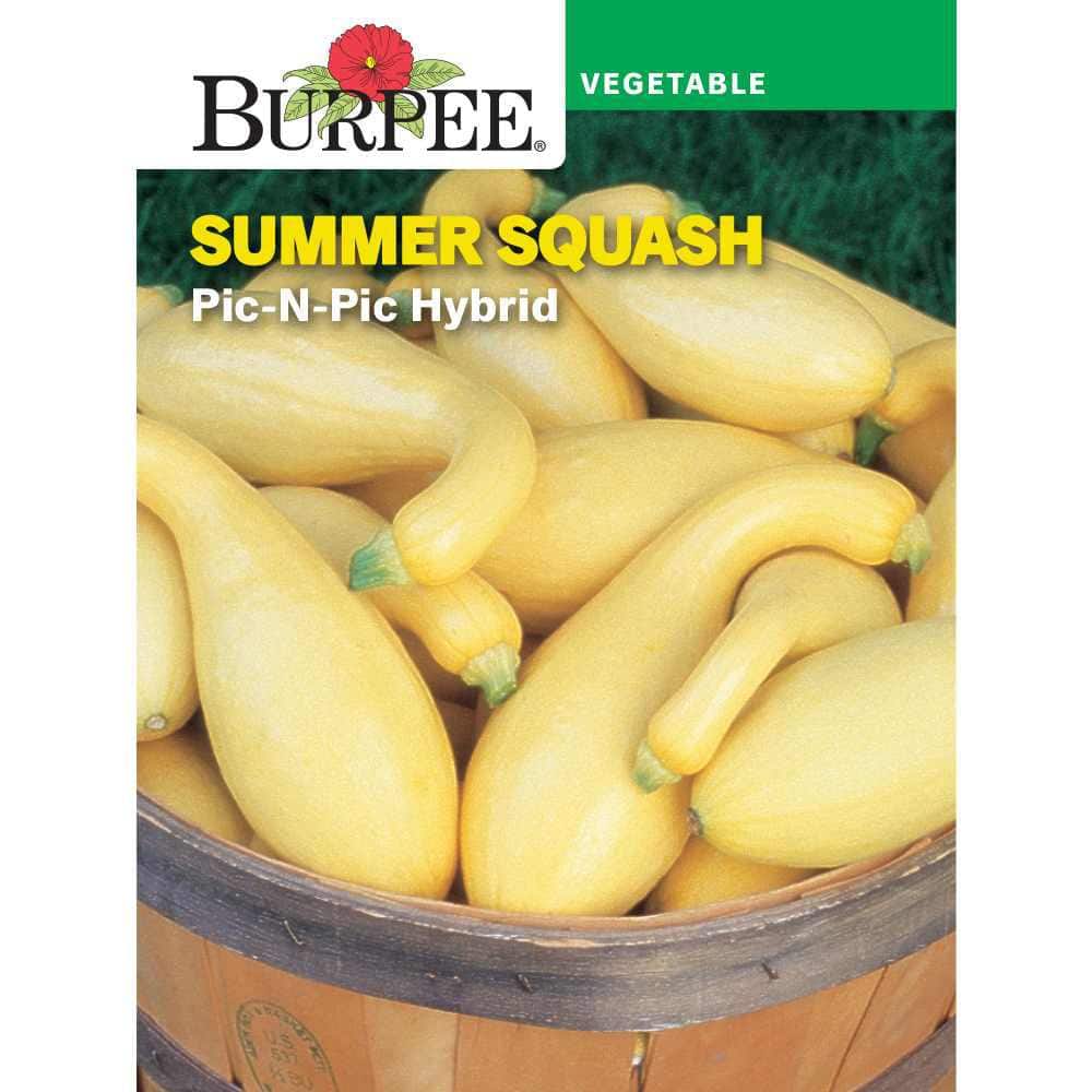 Burpee Garden Squash Summer Pic-N-Pic Hybrid Vegetable Seed 53220 - The ...