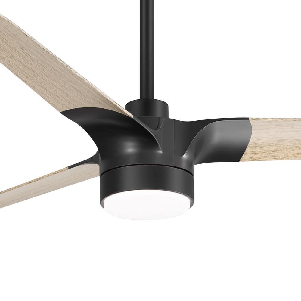 Breezary Malli 52 in. Indoor Black Propeller Ceiling Fan with ...