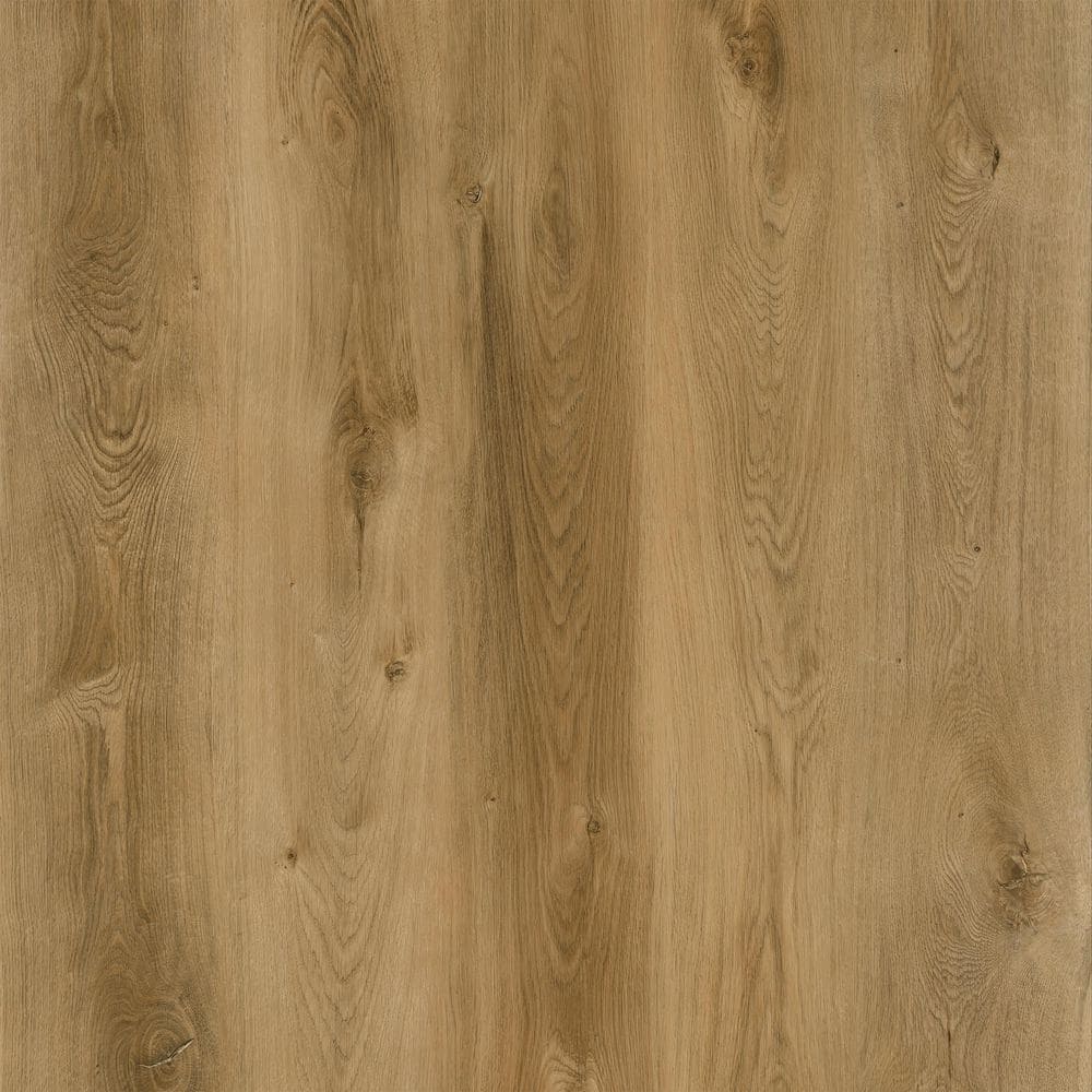 Dekorman Take Home Sample-Madison Fancy Blonde Oak 28 MIL x 9 in. W x ...