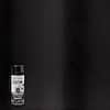 Rust-Oleum Automotive 10 oz. Gloss Black Custom Chrome Spray Paint (6 ...