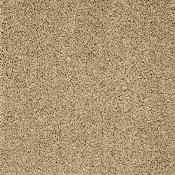Mohawk 8 in. x 8 in. Texture Carpet Sample - Appreciate II - Color ...