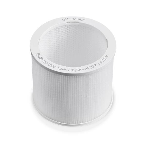 DH Lifelabs Large True HEPA Replacement Filter for Aaira Plus 907000180 ...