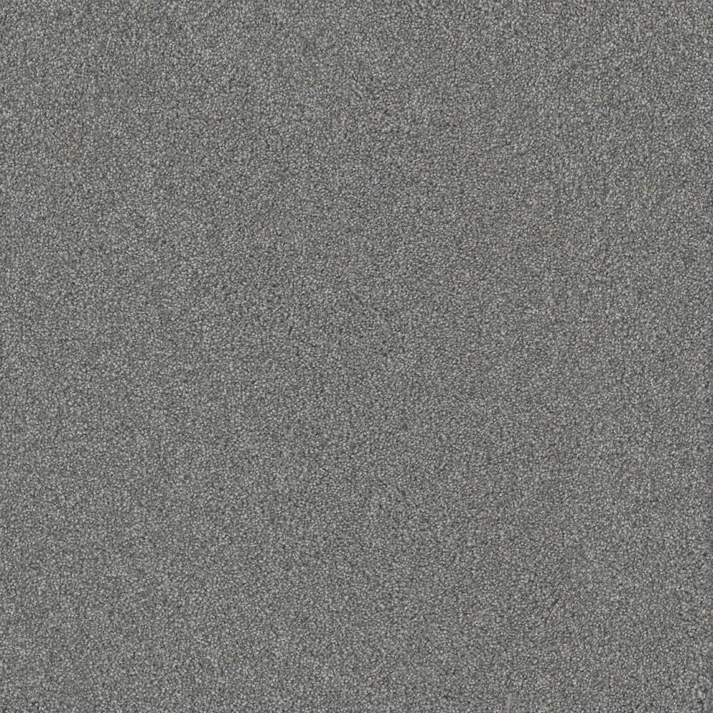 Lifeproof 8 in. x 8 in. Texture Carpet Sample - Misty Meadows II ...
