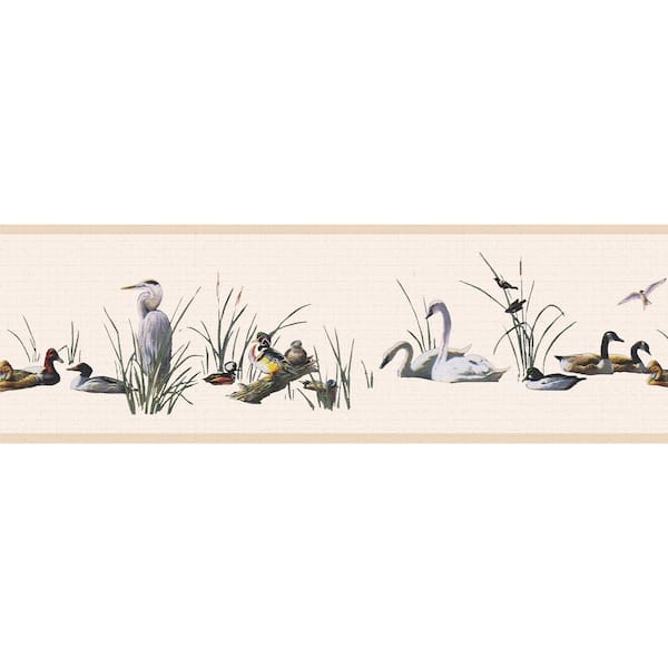 Parrot Wallpaper Border 878320 Ruby Hummingbird Wallpaper Border