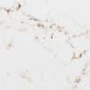 VIATERA Quartz Countertop Sample in Andante with Polished Finish LX ...