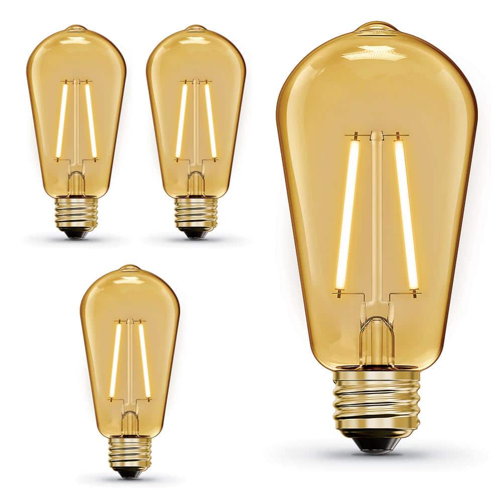 Feit Electric 40-Watt Equivalent ST19 Dimmable Straight Filament Amber ...