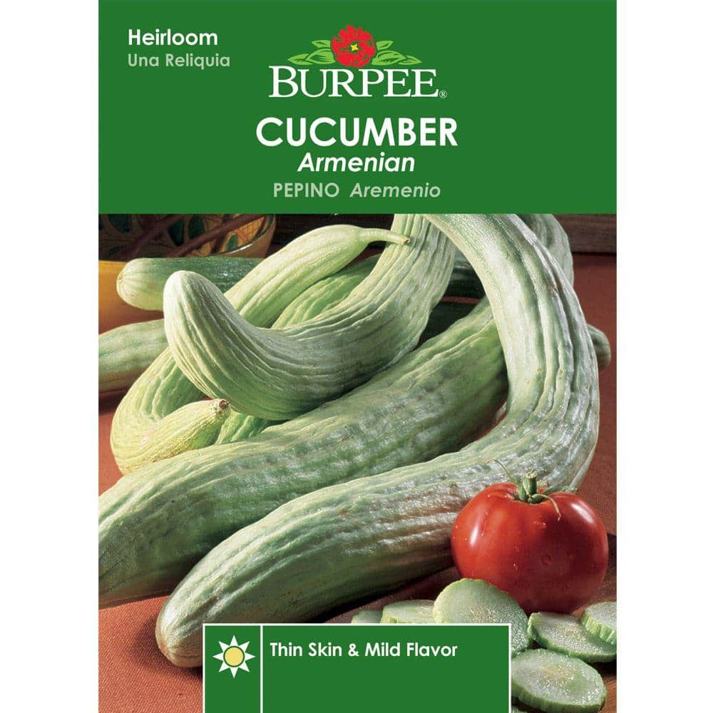 Burpee Armenian Cucumber Seed 62508 - The Home Depot