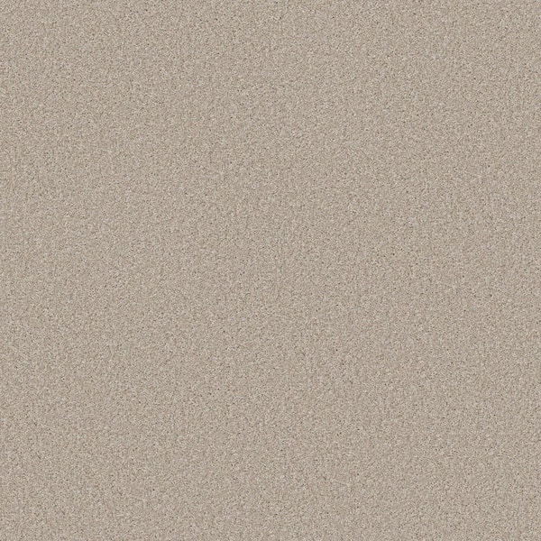 TrafficMaster 8 in. x 8 in. Texture Carpet Sample - Gifted Moments I ...