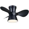 FIRHOT 24 in. Smart Indoor Black Low Profile Ceiling Fan for Living ...