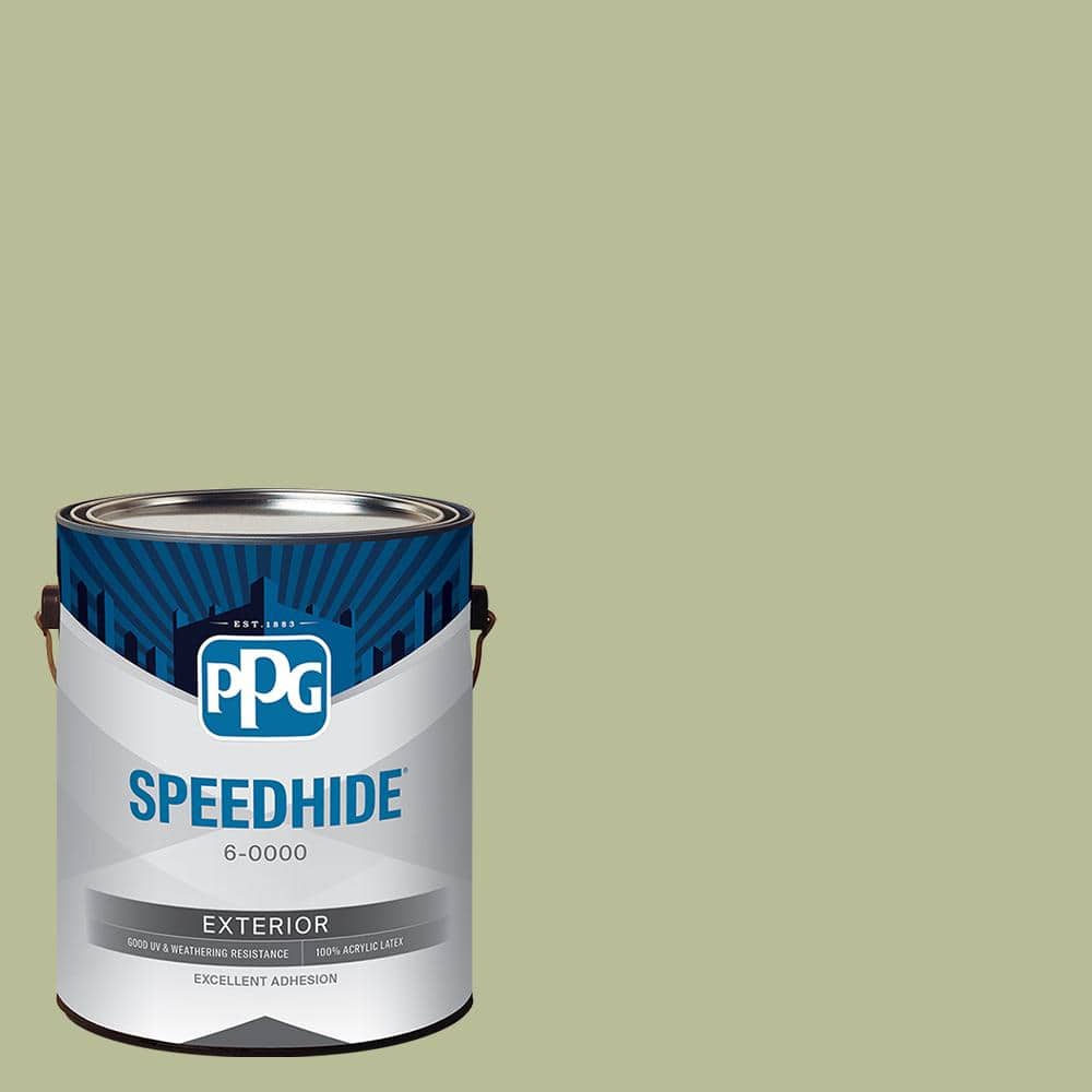 Reviews for SPEEDHIDE 1 gal. Bahia Grass PPG1122-4 Satin Exterior Paint ...