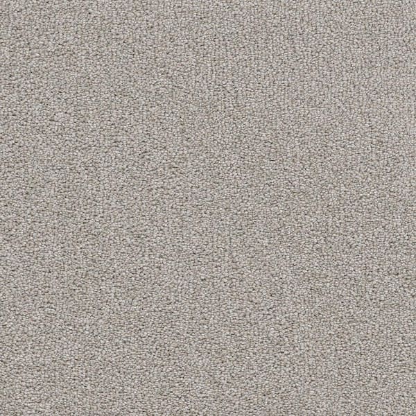 Home Decorators Collection 8 in. x 8 in. Texture Carpet Sample ...