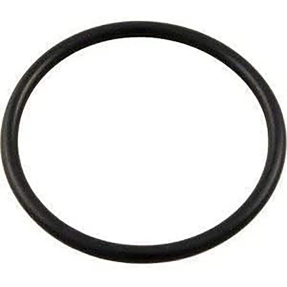 PENTAIR Lid O-Ring Replacement Part for Select Pool Pumps 350013Z_A ...