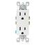 Leviton Decora Smart Wi-Fi Tamper Resistant 15A Duplex Outlet (2nd Gen ...