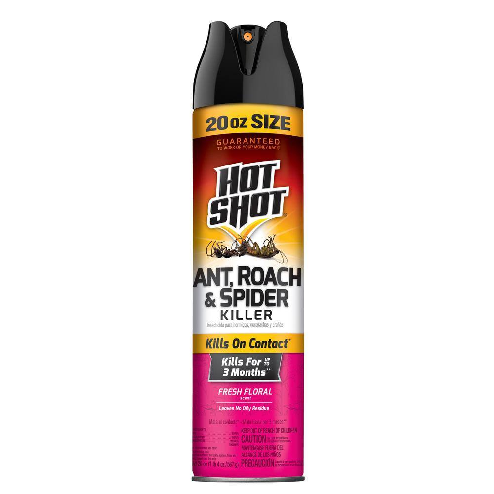 Reviews for Hot Shot 20 oz. Ant, Roach, and Spider Insect Killer ...