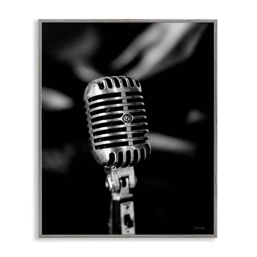 Stupell Industries Vintage Microphone on Black by Jennifer Rigsby Gray ...