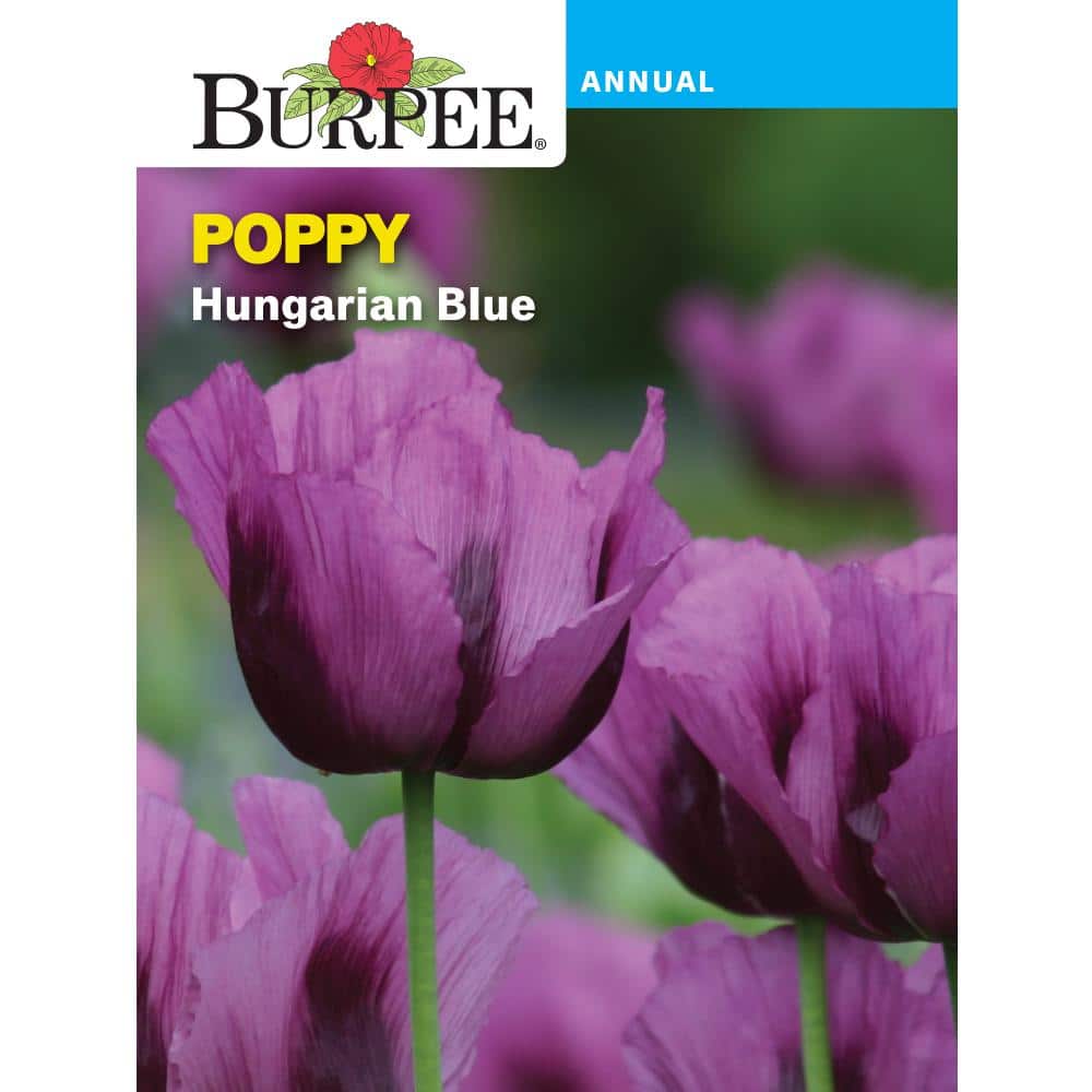 Burpee Poppy Hungarian Blue Heirloom Seed 45904 - The Home Depot