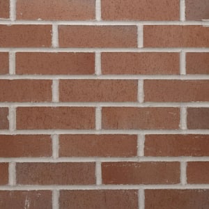 Old Mill Brick Seaside 4.25 in. x 30.5 in. x 12 in. Clay Brickwebb Thin ...