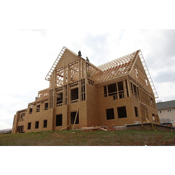 Blue Ribbon Oriented Strand Board (Common: 19/32 in. x 4 ft. x 8 ft ...