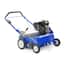 BLUEBIRD 22 in. 5.5 HP Gas Powered Power Rake-Dethatcher with Honda ...