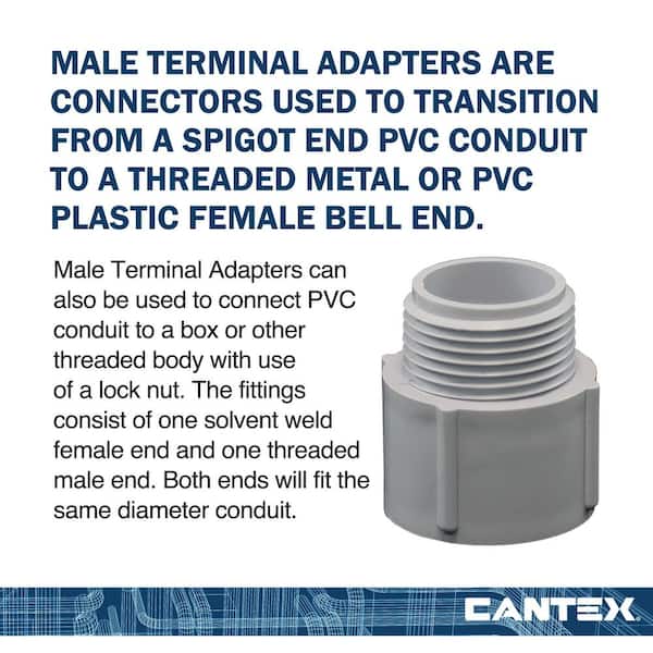 Cantex .75 in. PVC Male Terminal Adapter Conduit Fitting for Cantex PVC ...