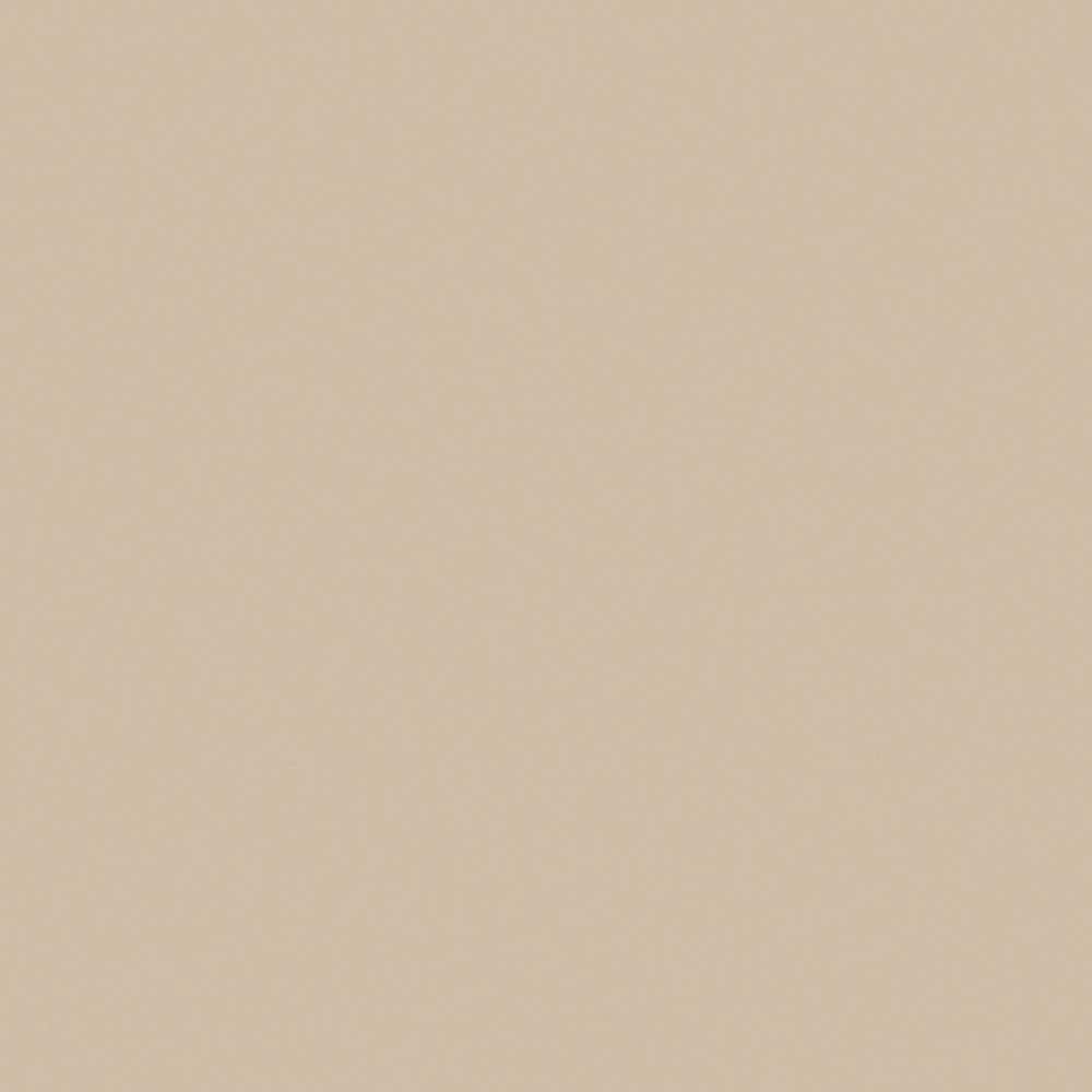 Wilsonart 4 ft. x 8 ft. Laminate Sheet in Beige with Matte Finish ...