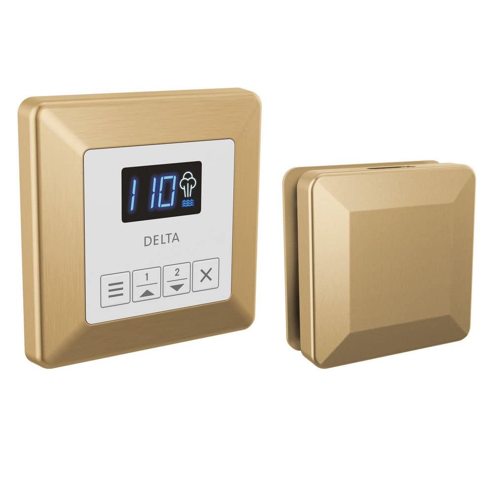 Delta Programmable Steam Generator Control Kit with Steam Head in ...