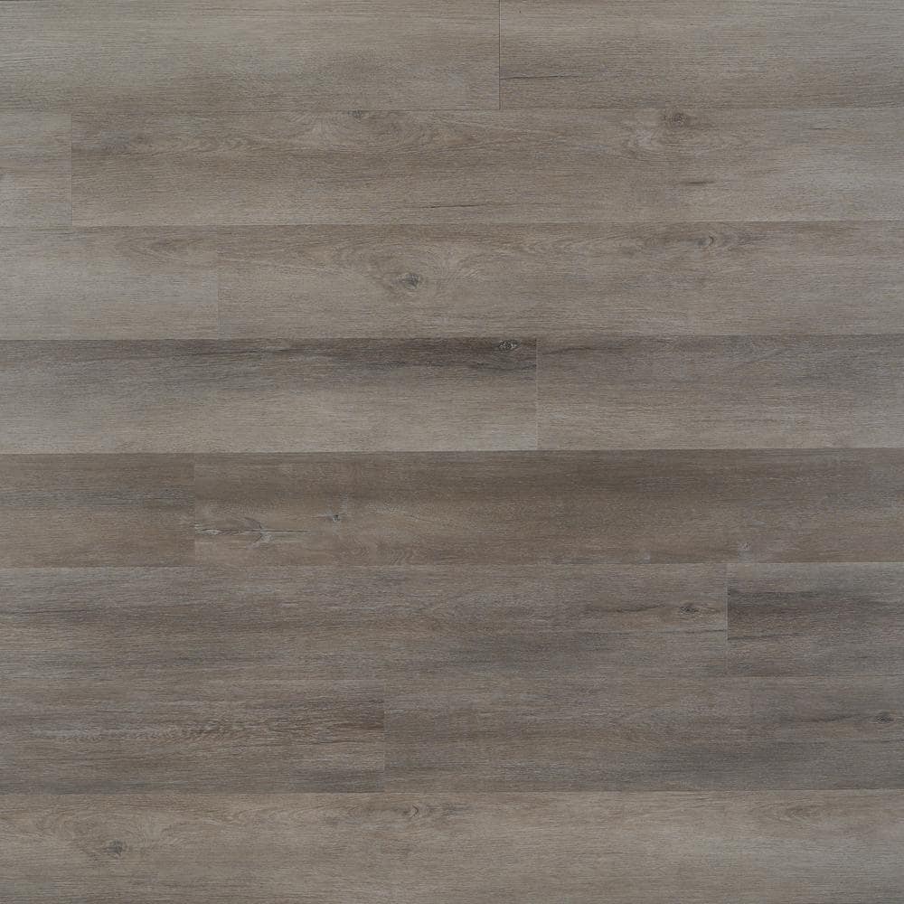 Ivy Hill Tile Cippia Oak Studio 12 MIL x 6 in. W x 48 in. L Click Lock ...
