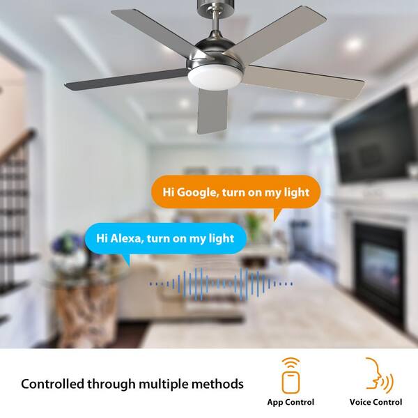 Multiple Ceiling Fan Control Switch | Shelly Lighting