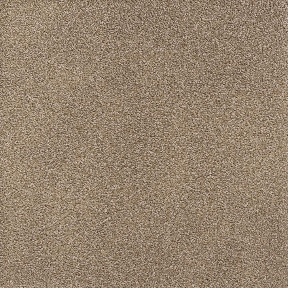 Home Decorators Collection 8 in. x 8 in. Texture Carpet Sample ...