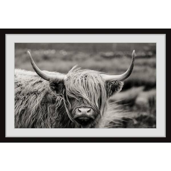 "Hairy Face Cattle" by Marmont Hill Framed Animal Art Print 12 in. x 18 ...