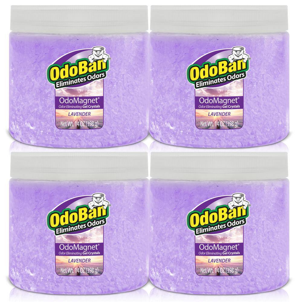 OdoBan 14 oz. OdoMagnet Odor Removing Gel Crystals, Odor Absorber and ...